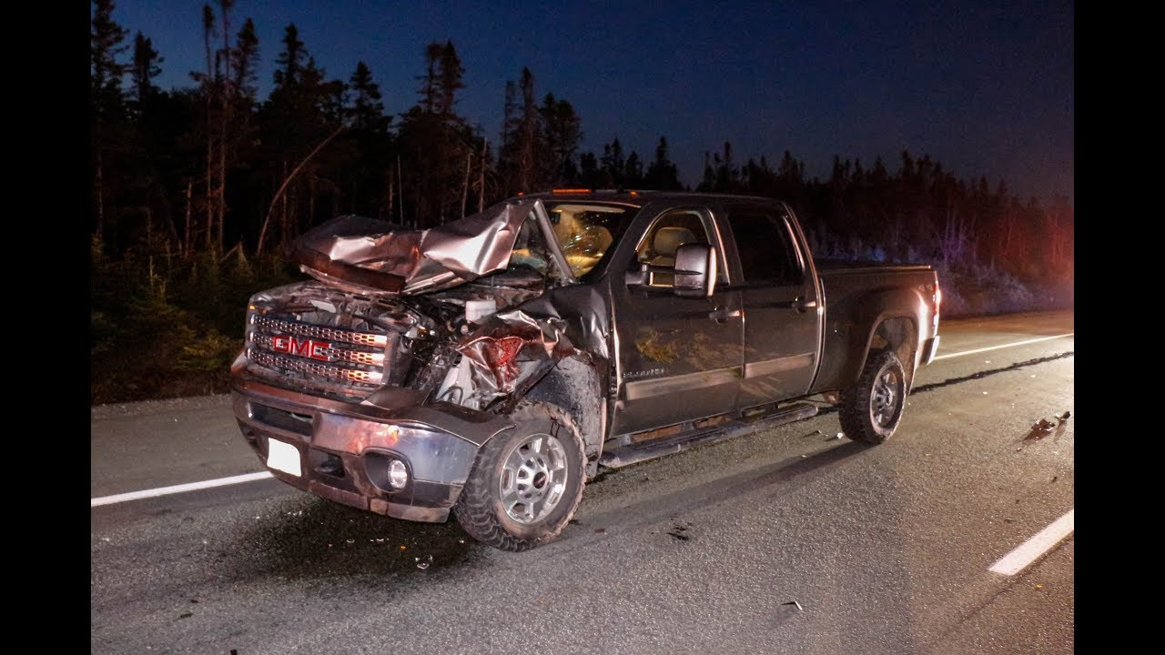 Moose-vehicle Collision on the Outer Ring Road; Thursday, July 5, 2018 ...