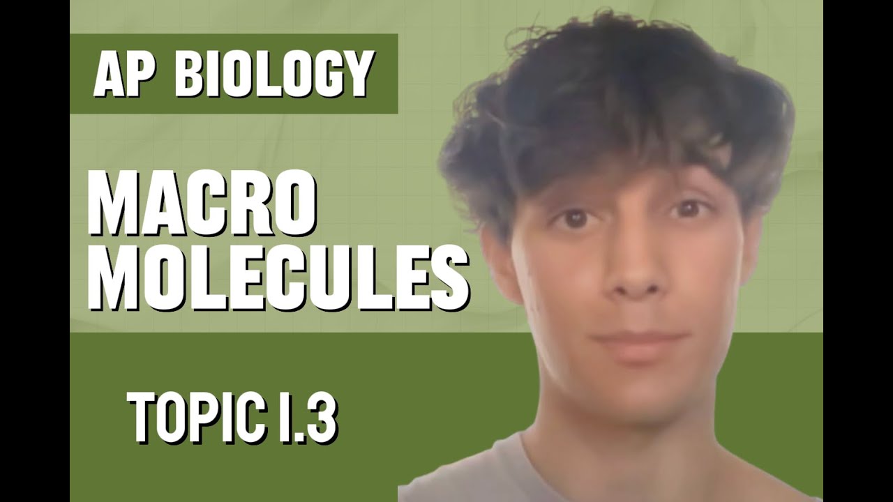 Introduction to Macromolecules [AP Biology Review Unit 1 Topic 3] - YouTube