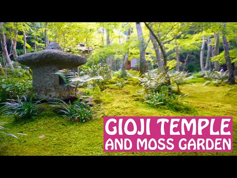What is Gioji Temple and what is it like to visit it's famous Moss ...