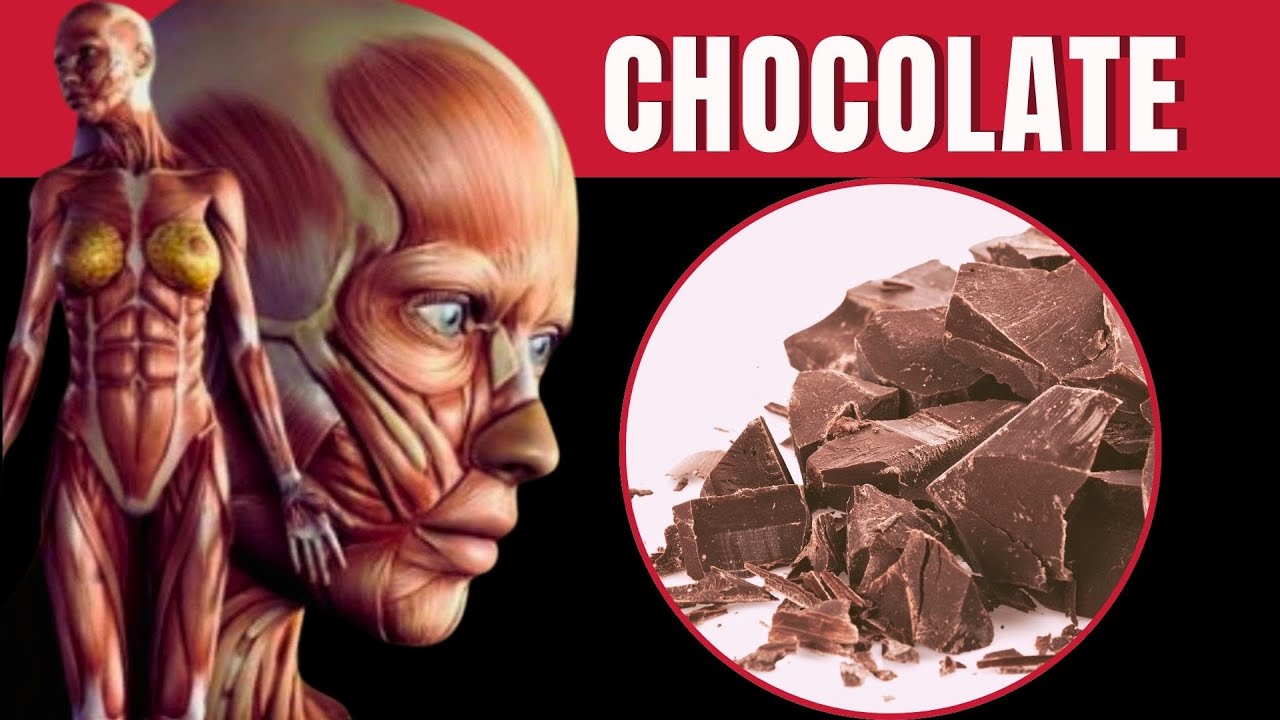 Chocolate é saudável? Coma Chocolate todos os dias🍫🍫 - YouTube
