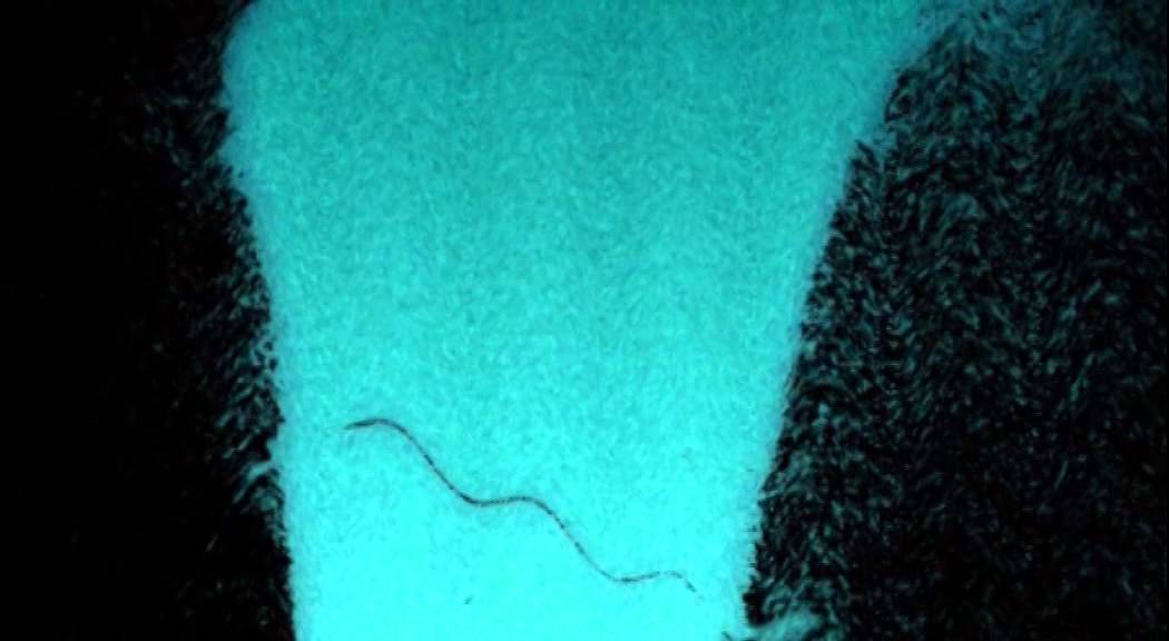 Virtual Presence Device - Interludium - YouTube