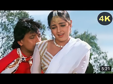 Dil Deewana (Jhankar) Movie Daag The Fire Anuradha Paudwal  Mahima Chaudhary 2022