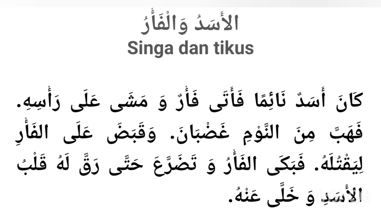 Cerita Anak Bahasa Arab "Singa dan Tikus" - YouTube