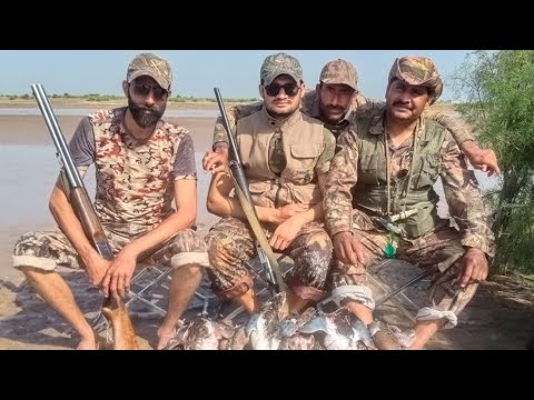 Mallard Duck Hunting in Pakistan 2023 | Waterfowl Hunting Videos ...
