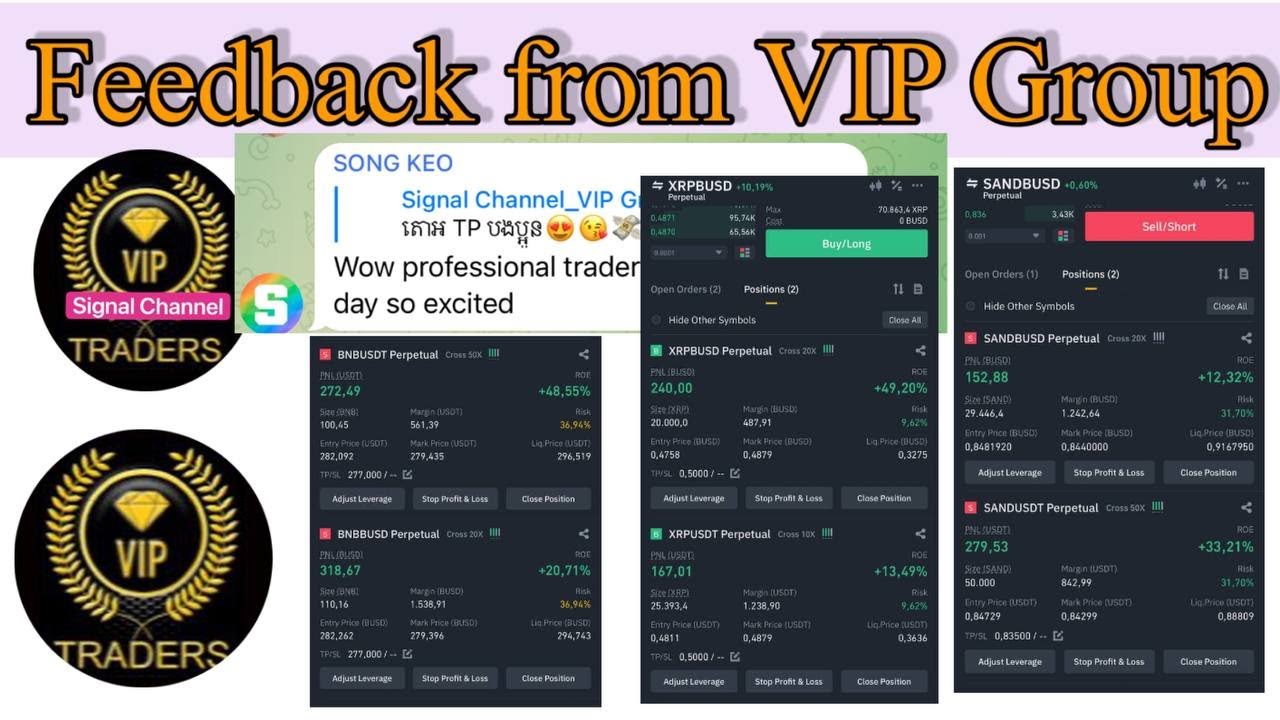 Feedback from VIP Trading Group - YouTube