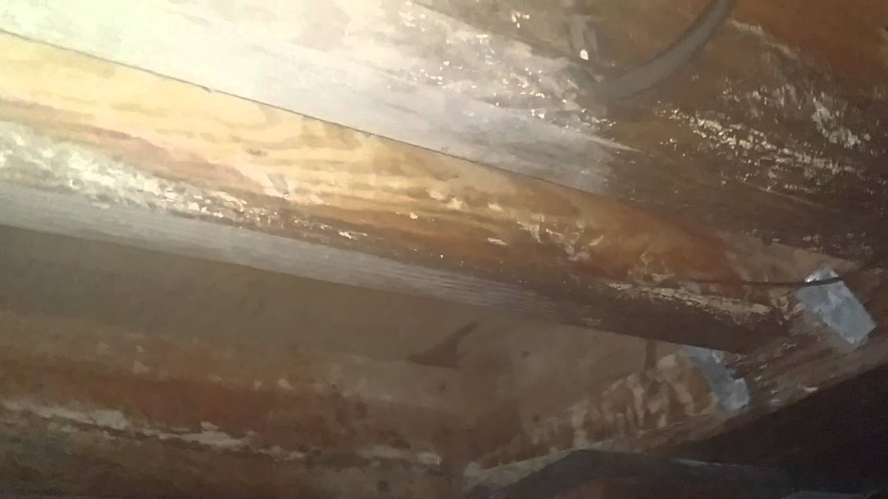 Spray vs wiping mold - YouTube
