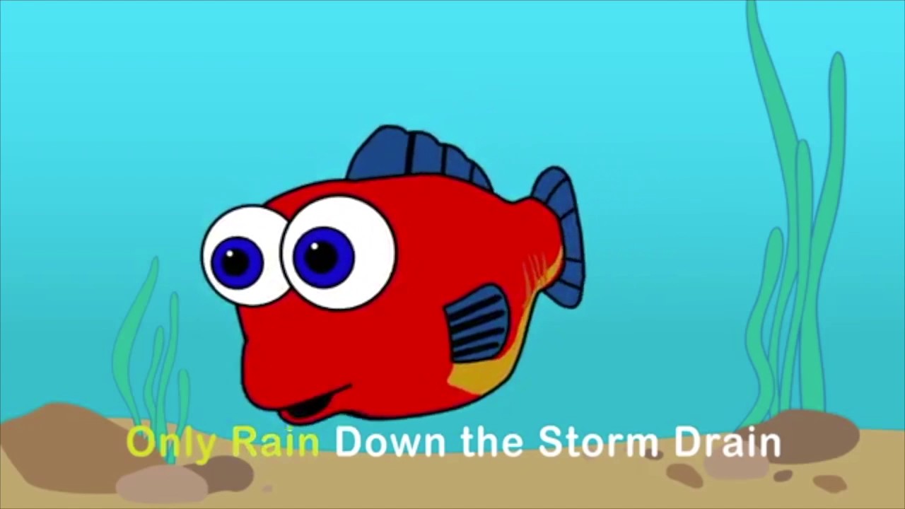 Only Rain Down the Storm Drain Song - YouTube