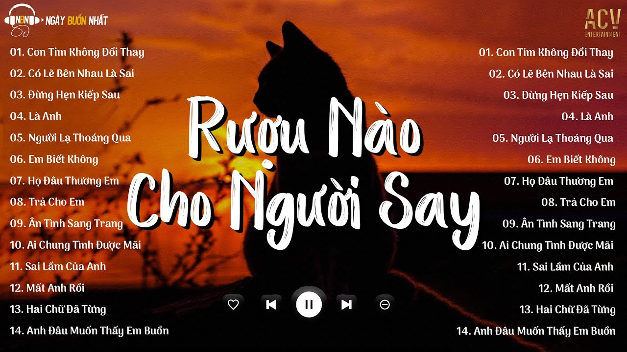 rượu nào dành cho người say.. Con Tim Không Đổi Thay,Có Lẽ Bên Nhau Là ...
