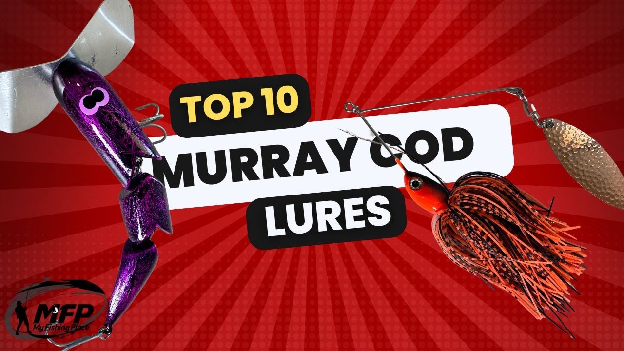 WHAT are the BEST Lures for Murray Cod? - YouTube