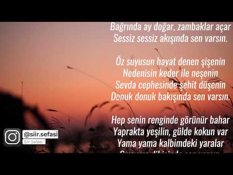 Sen Varsın - Abdurrahim Karakoç (Yorum: Muhammed Sefa Kılınç)