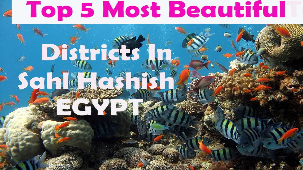 TOP 5 MOST BEAUTIFUL DISTRICTS IN SAHL HASHISH, EGYPT - YouTube
