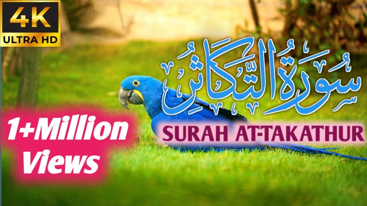 "Surah At-Takathur: Unraveling the Pursuit of Abundance in Islamic ...