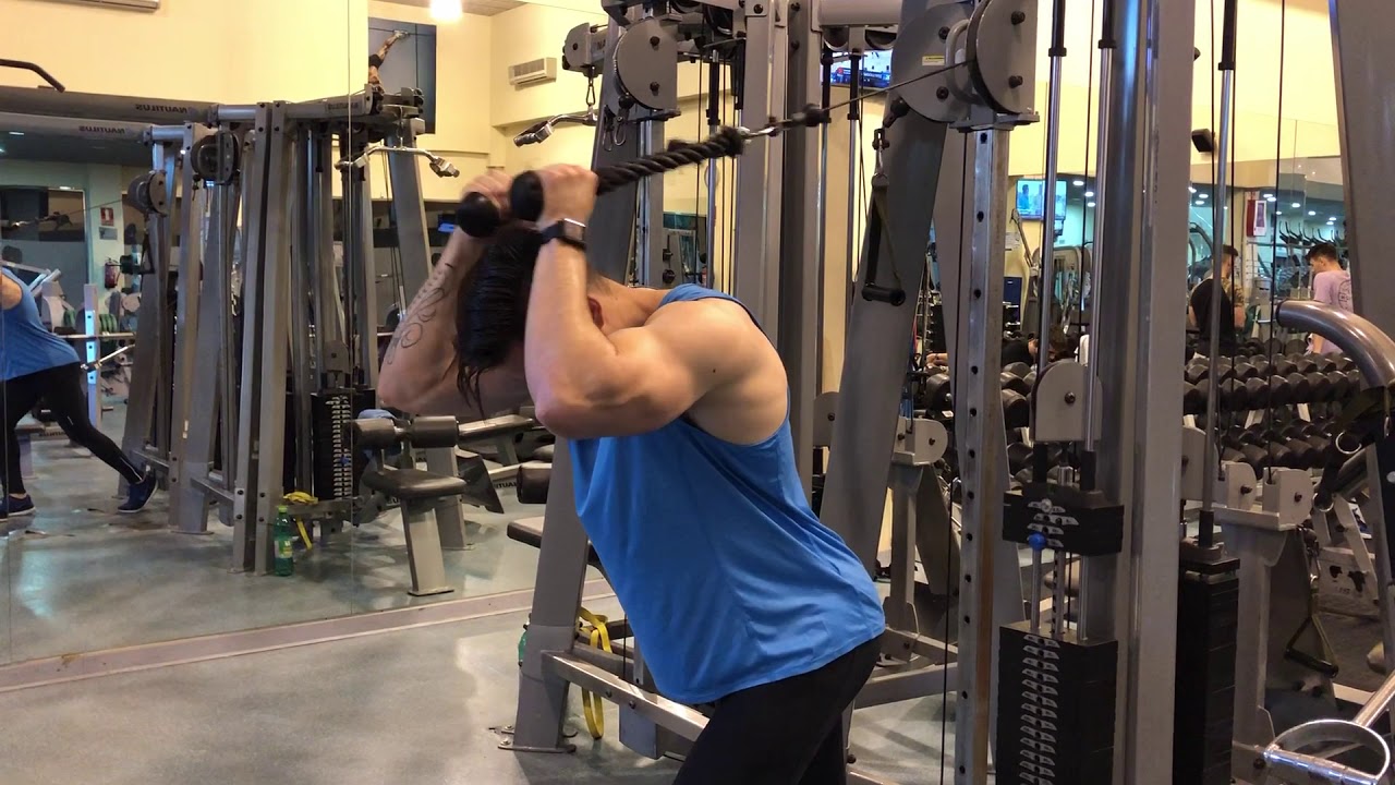 Extension de codo en polea alta de espaldas con cuerda. FIT24X7 - YouTube