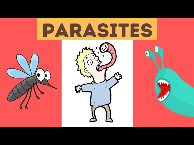 Parasite Science Definition