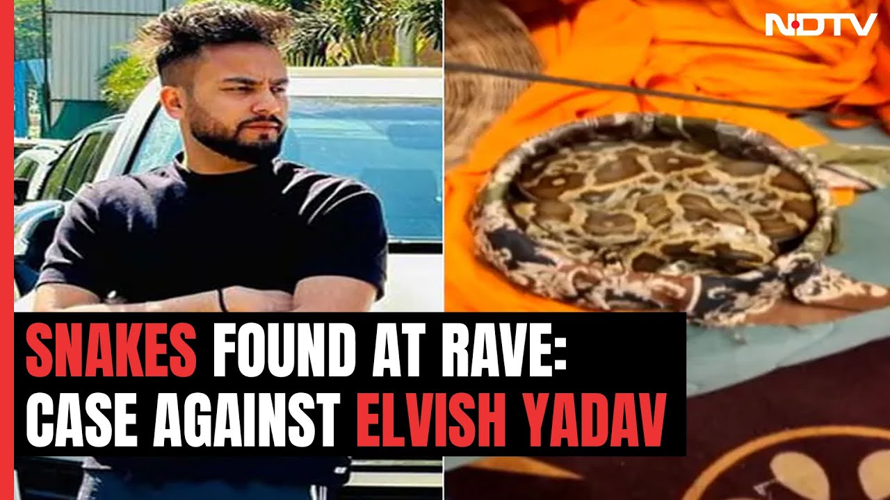 YouTuber Elvish Yadav Faces Case After Snakes, Venom Found At Rave ...