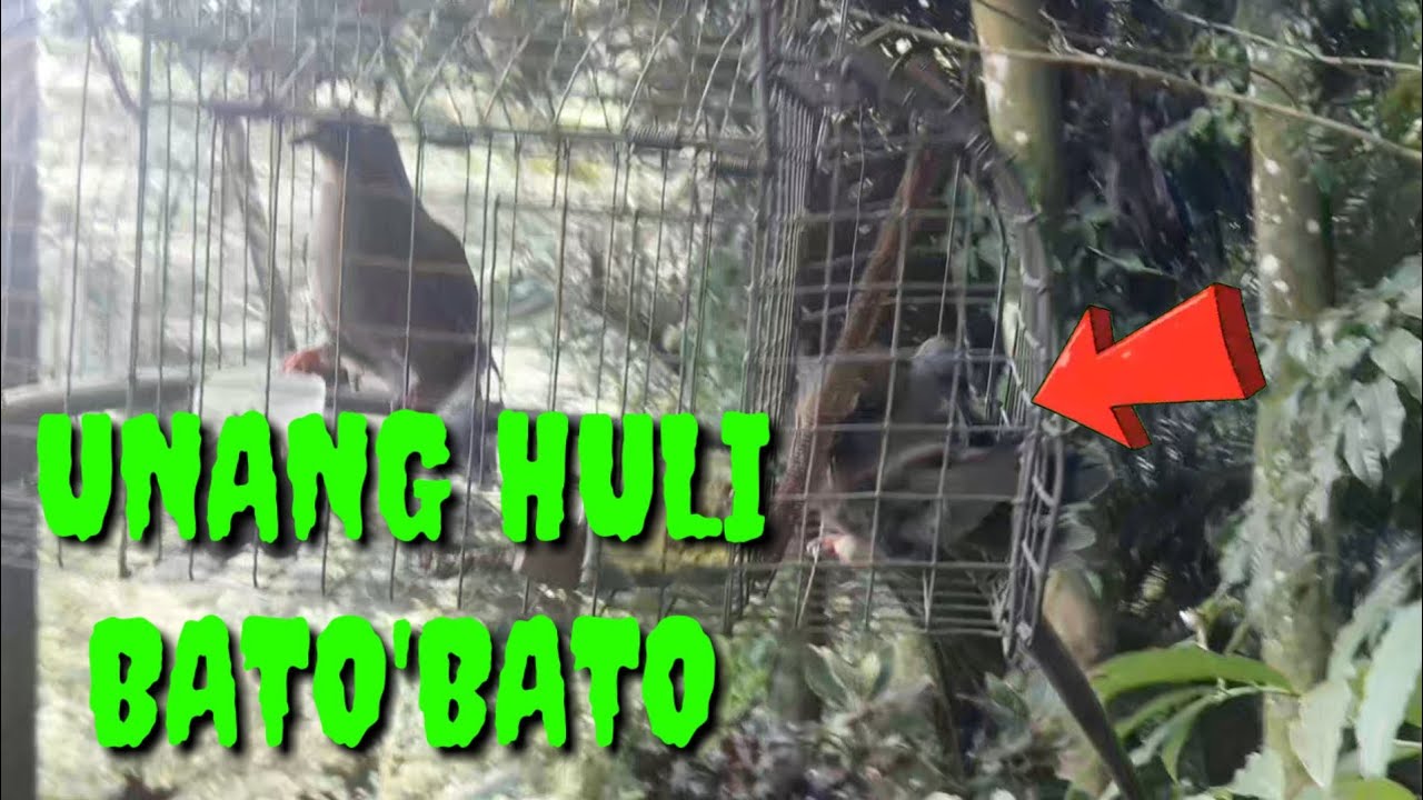 UNANG HULI NA BATO'BATO SALAMAT BOSS ALEX #huntervlogs - YouTube
