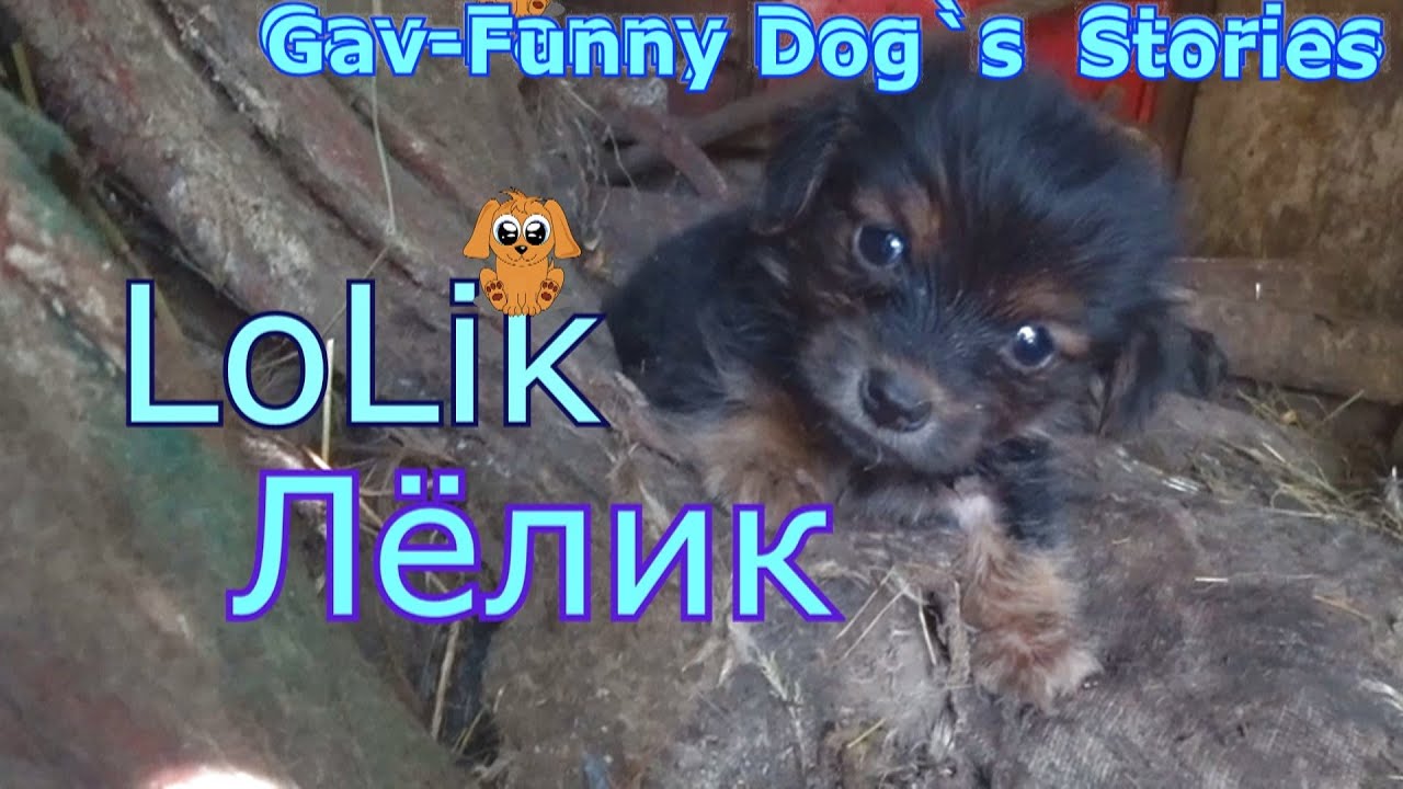 LoLik - YouTube