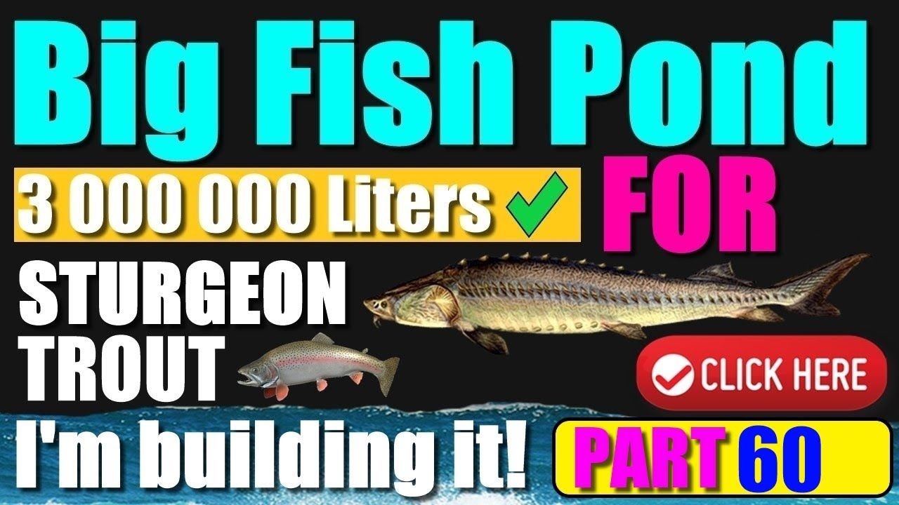 LARGEST BACKYARD FISH POND 3 000 000 litres (60) - YouTube