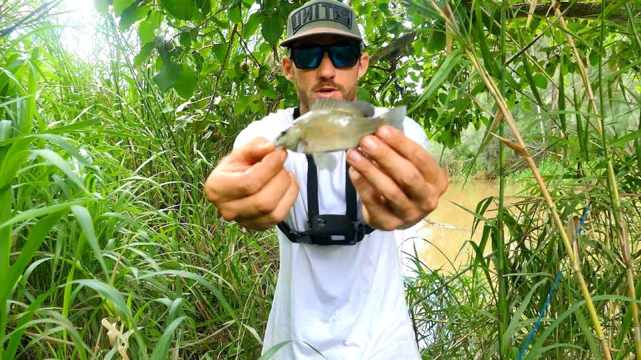 Worlds Smallest Sooty Grunter - Freshwater Fishing Australia - YouTube