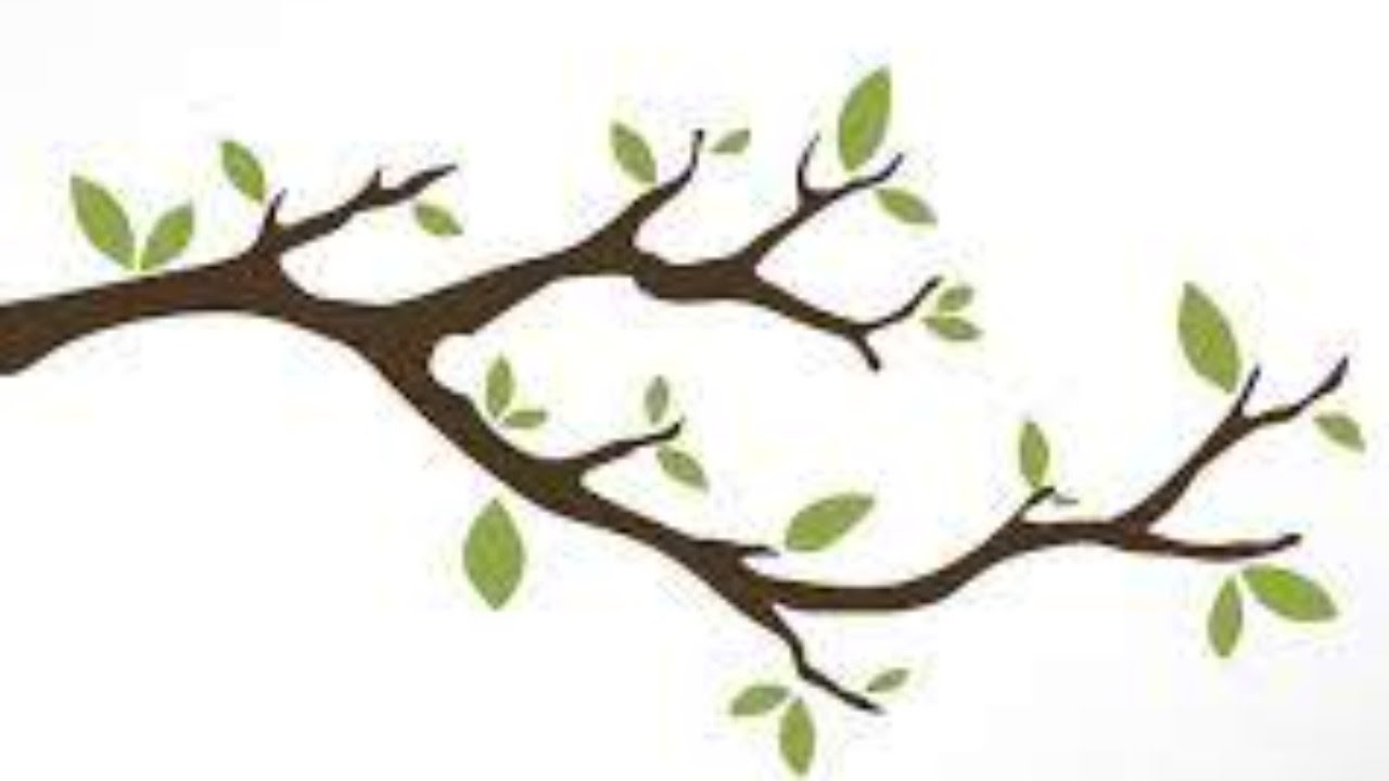 Leafing Out, Episode 1: Tree Appreciation with Dr. Bruce Allison - YouTube