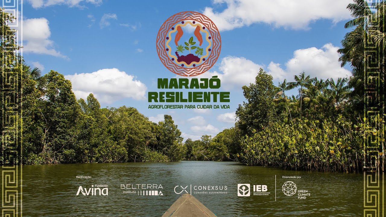 MARAJÓ RESILIENTE - Conheça o projeto - YouTube