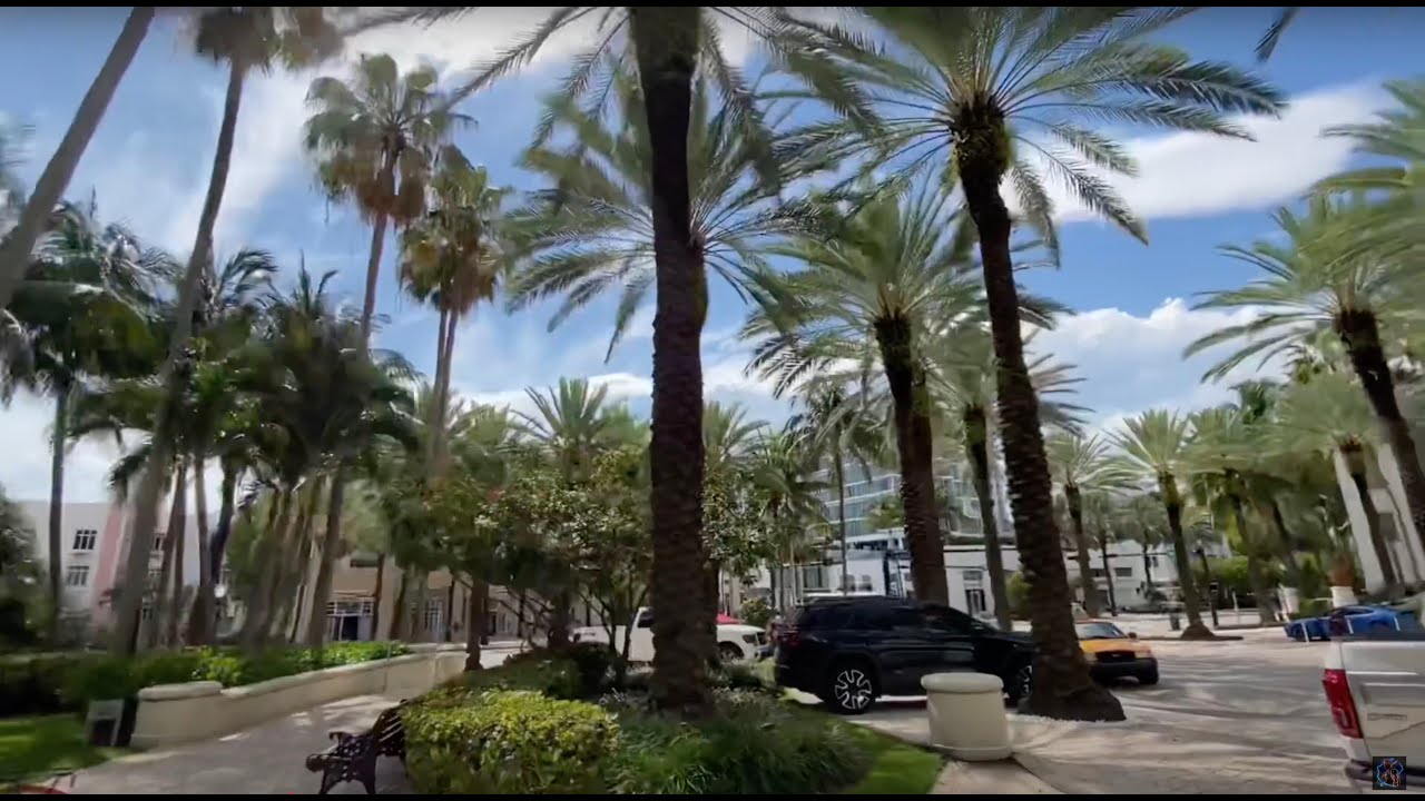 “Palm Tree” vibe - YouTube