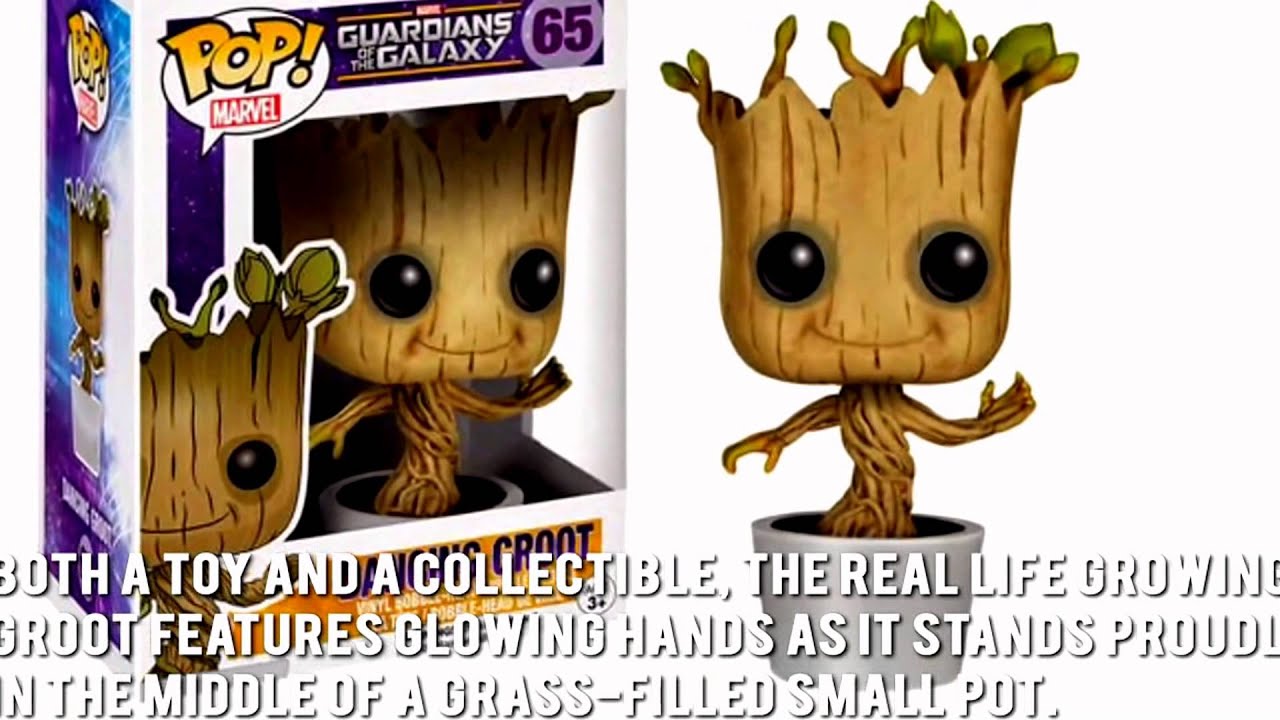 The Real Life Growing Groot REVIEW - YouTube