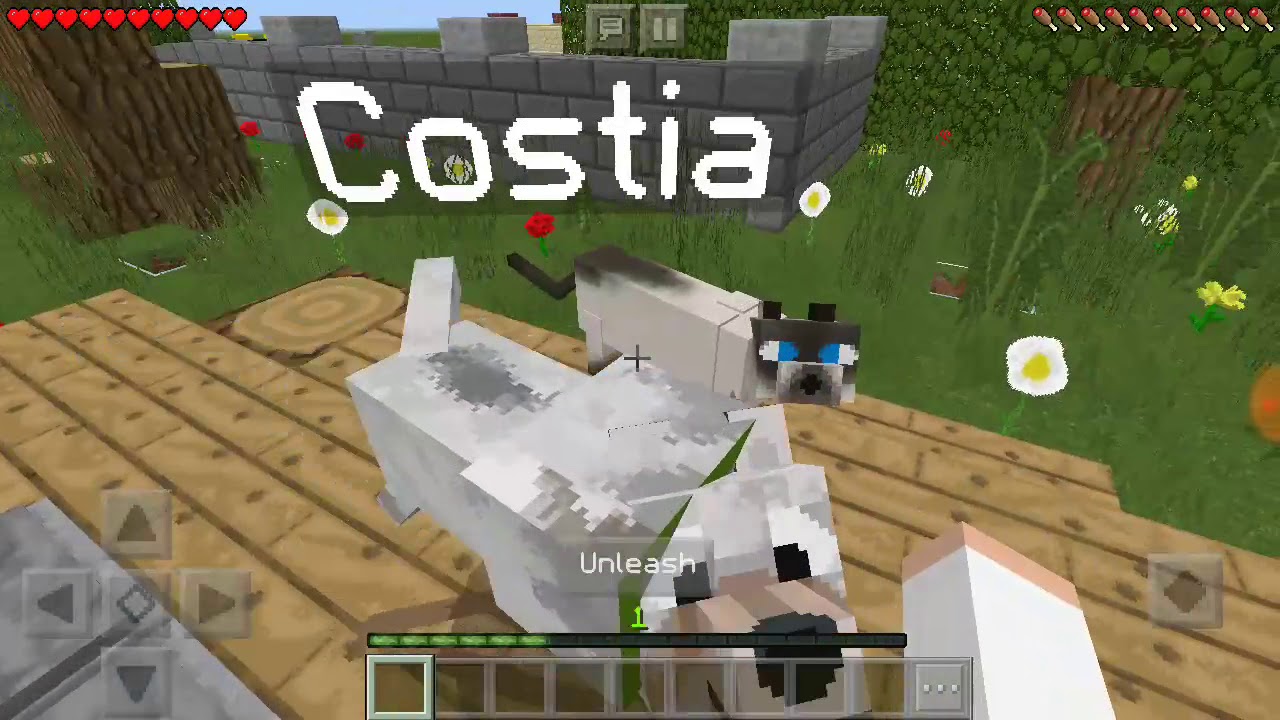 Lizzie Minecraft:Taking Pets for a walk - YouTube