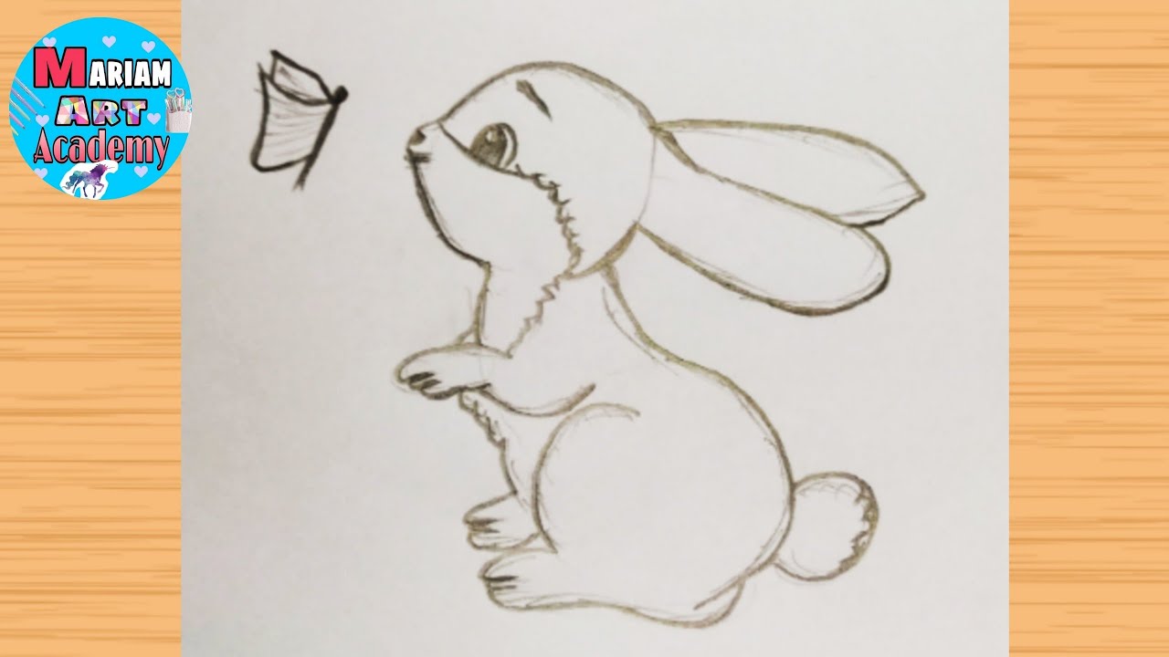 Rabbit with butterfly Drawing | How to draw rabbit with butterfly - YouTube