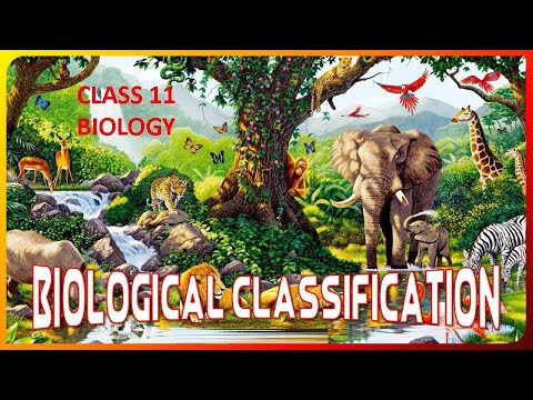 BIOLOGICAL CLASSIFICATION Class 11 | NEET 2024 | NCERT BIOLOGY |Five ...