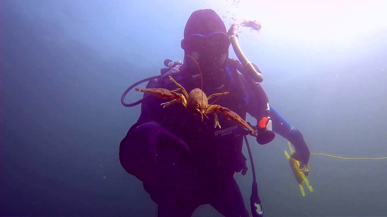 Scuba Diving in Metonga Lake, Forest County, WI - YouTube