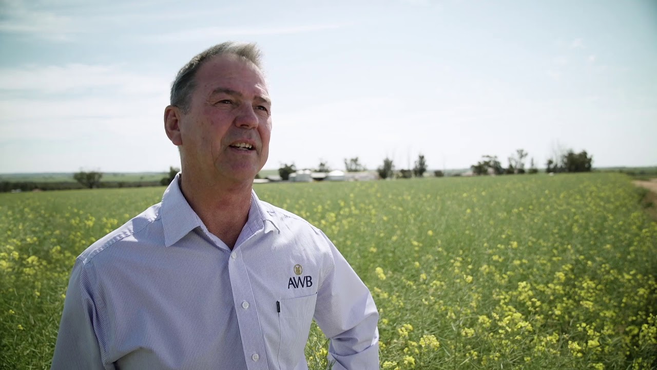 Your options this harvest with David Cripps, WA - YouTube