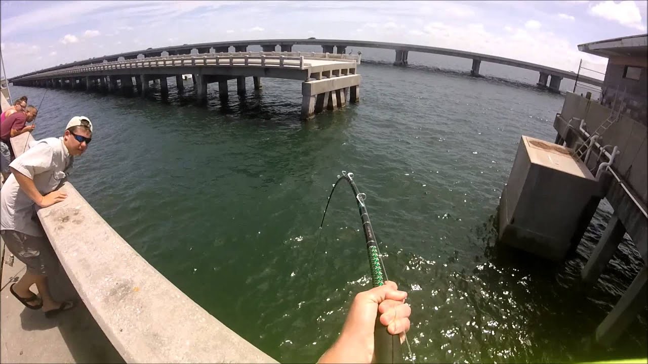 Skyway Goliath Grouper Fishing - YouTube