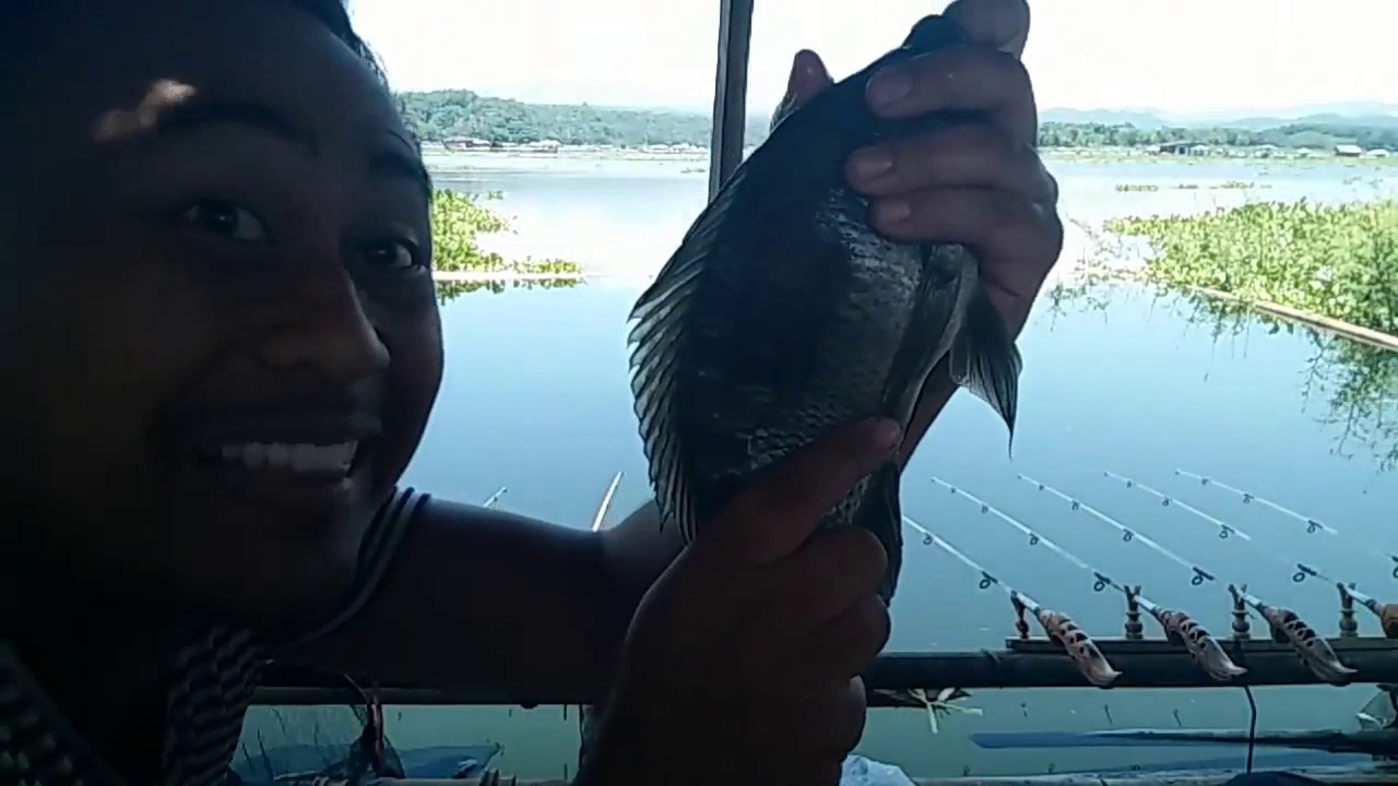 MANCING PESTA STRIKE ! MANCING CIRATA WILD FISHING VLOG #14 - YouTube