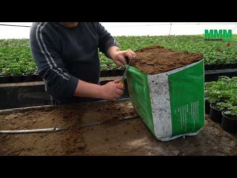 Pregătirea substratului de turbă M-Peat