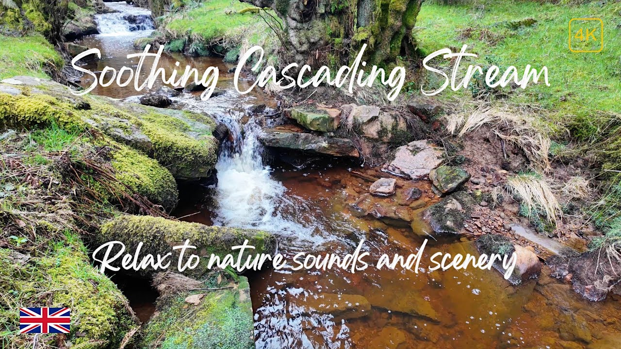 SOOTHING CASCADING STREAM 30 MINS; Nature scenes and sounds for ...