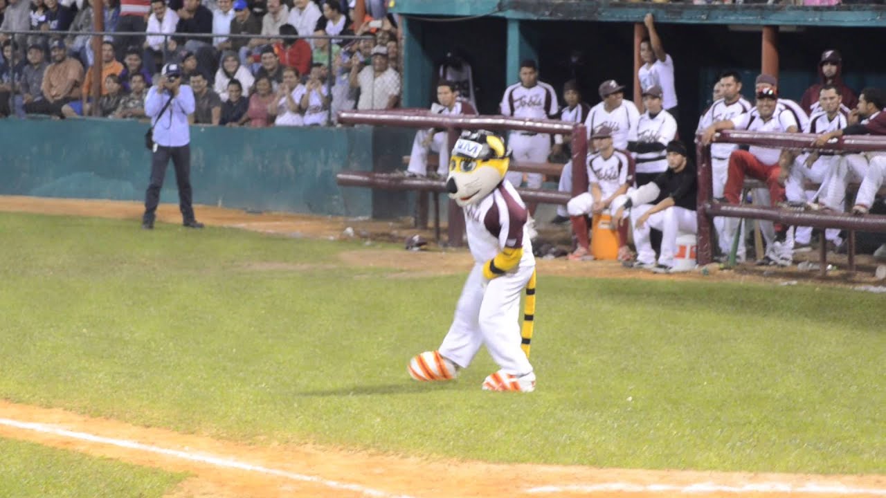 michael Jackson, el tigre chacho de quintana Roo - YouTube