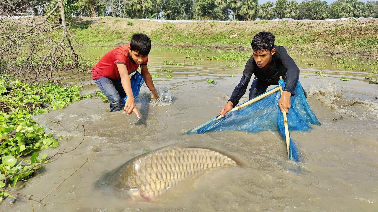 amazing net fishing/traditional little boys catching fish by net from ...
