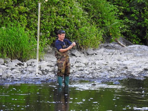 River Lagan Walks-Spin Fishing on the River Lagan in Belfast, Northern ...