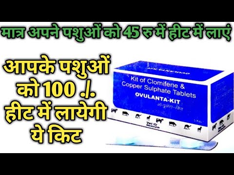 Ovulanta-kit से पशु को 5 दिन में हीट पर कैसे लाएं मात्र ₹45 में - YouTube