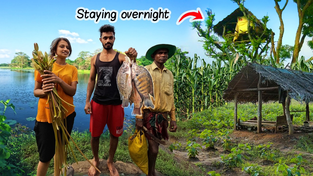 Countryside Sri Lanka: Wonders of Chena Cultivation and Village Life ...