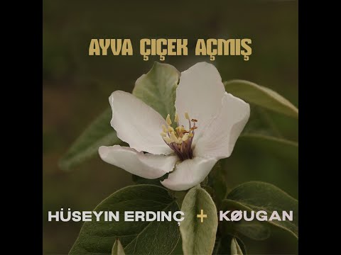 Huseyin Erdinç - Ayva Çiçek Açmış (feat. Kougan Ray) [Official Lyric Video]