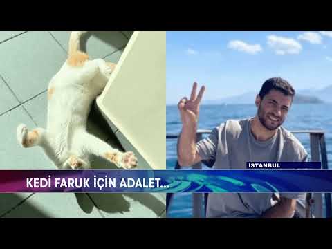 KEDİ FARUK İÇİN ADALET…
