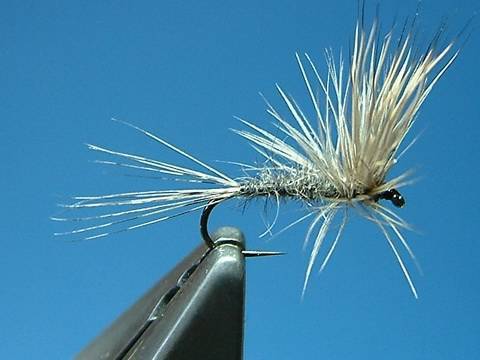 Tying an August Dun (Dry Fly) by Davie McPhail. - YouTube
