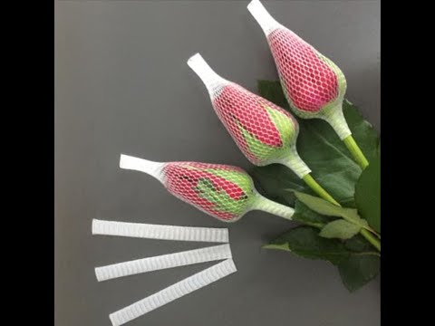 PP/PE plastic packaging net /fruit vegetable net /roses flower ...