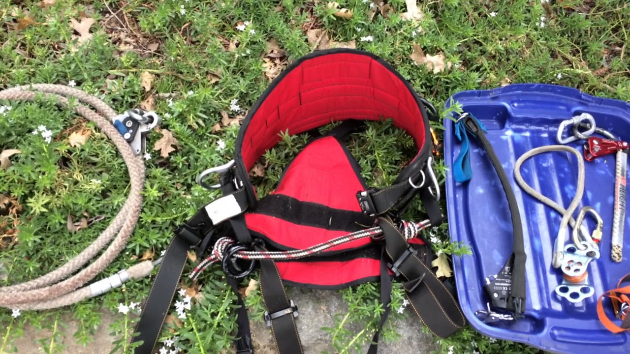 Monkey Beaver Harness new #1 - YouTube