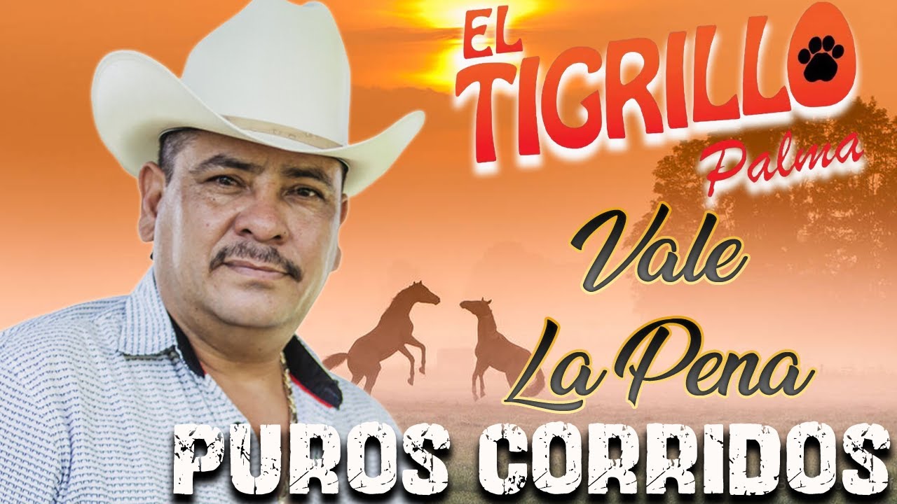 EL Tigrillo Palma ( Vale La Pena ) - Puros Corridos Exitos - YouTube