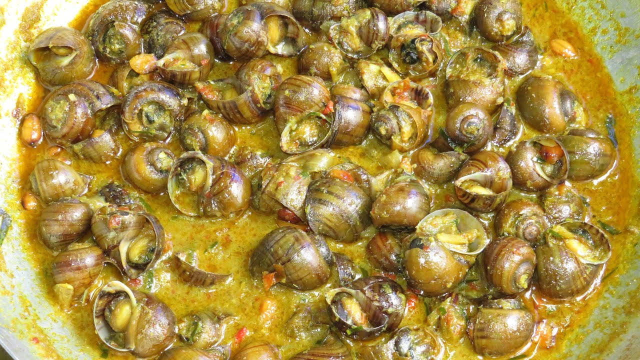 Cambodian Girl Cooking Curry Snails At Home | Best Curry Snails Recipe ...