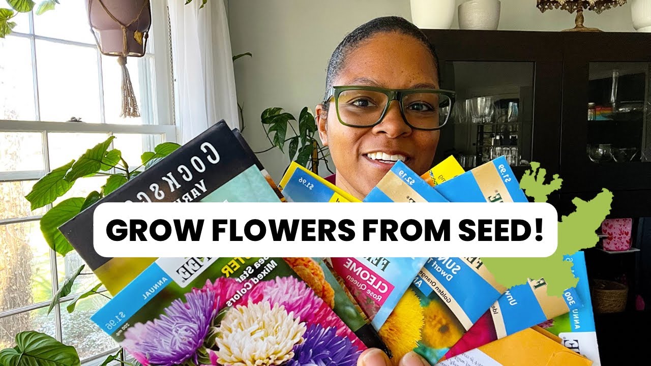 HOW TO GROW FLOWERS FROM SEED | STARTING FLOWER SEEDS INDOORS IN VEGO ...
