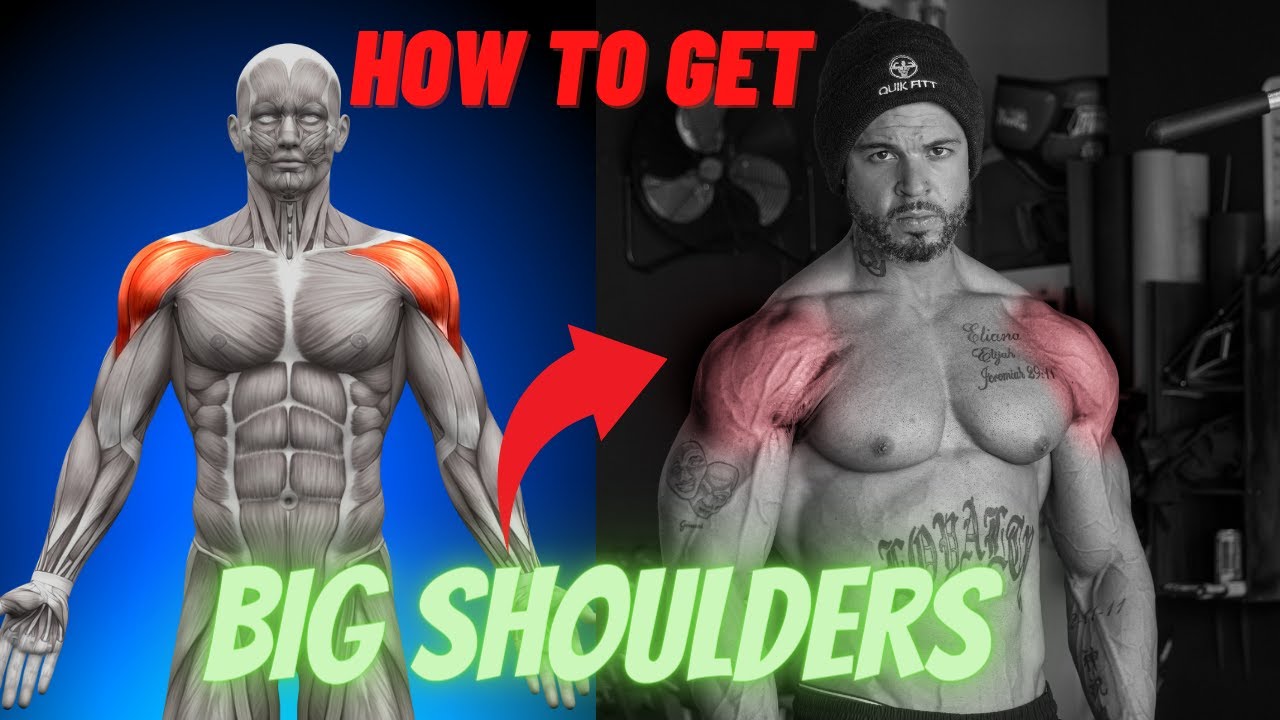 The best exercises for SHOULDERS (full workout) - YouTube